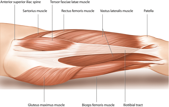 Anterolateral Thigh/Vastus Lateralis Flap | SpringerLink