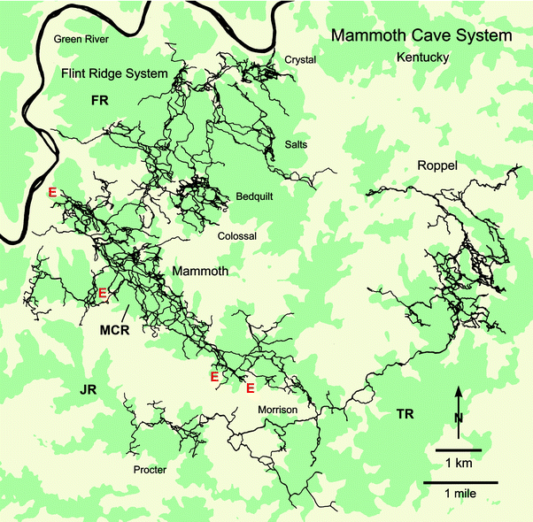 Geology of Mammoth Cave | SpringerLink