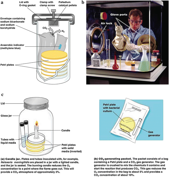 Upstream Processes | SpringerLink