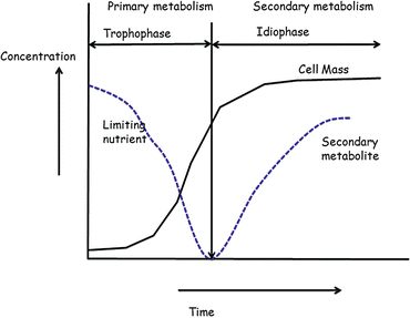 Upstream Processes | SpringerLink