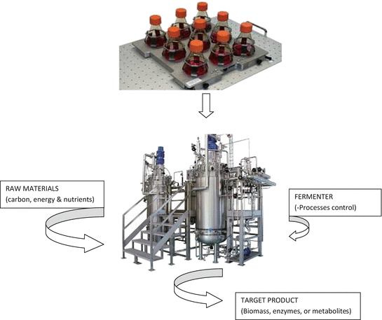 Upstream Processes | SpringerLink