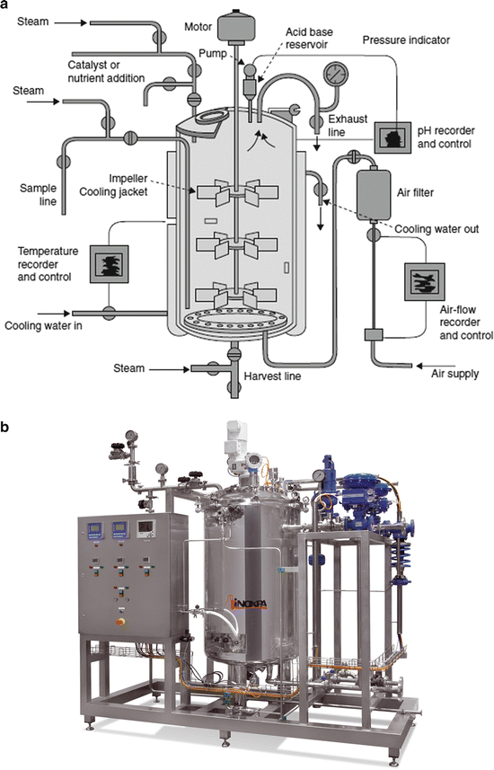 Upstream Processes | SpringerLink