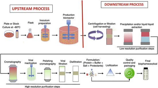 Upstream Processes | SpringerLink