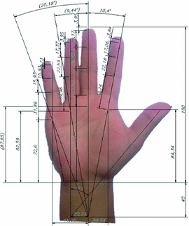 Design of a 3D-Printable Powered Prosthetic Hand for Transmetacarpal ...