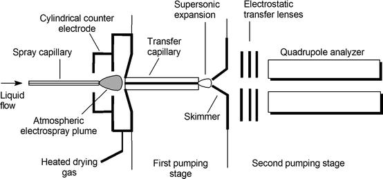 Electrospray Ionization | SpringerLink