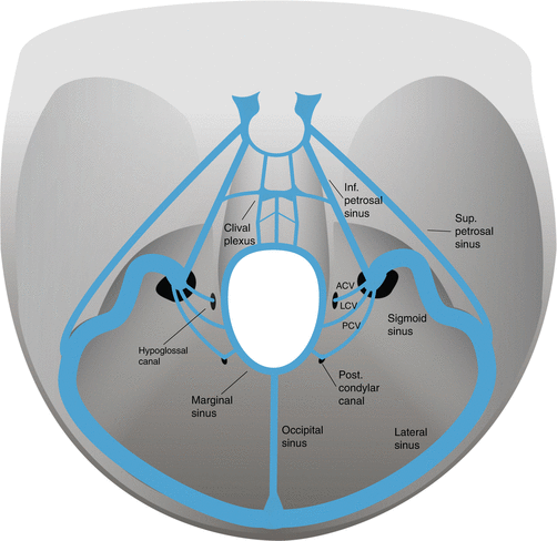 Cranial Venous Anatomy | SpringerLink