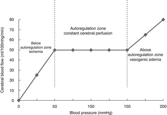 Autoregulation Curves | SpringerLink
