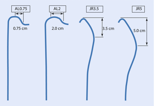 Guiding Catheters | SpringerLink