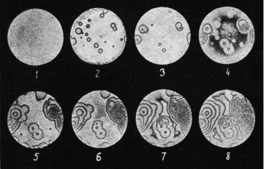 The Belousov–Zhabotinsky Reaction | SpringerLink
