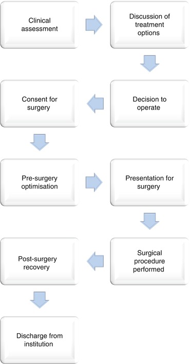 Organising a Surgical Theatre List | SpringerLink