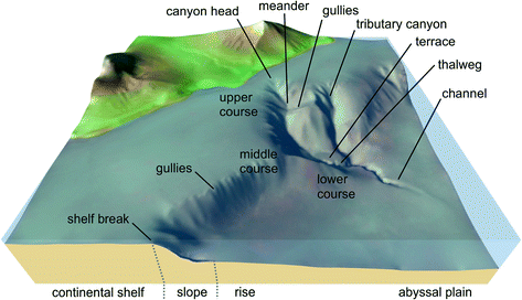 Submarine Canyons and Gullies | SpringerLink