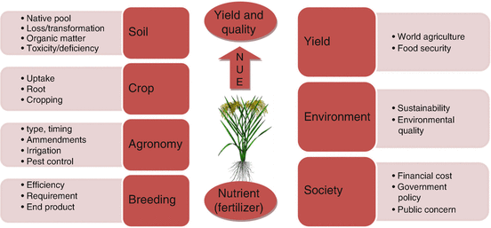 Nutrient Use Efficiency | SpringerLink