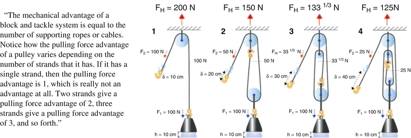 Multiple Representations in Physics and Science Education – Why Should ...