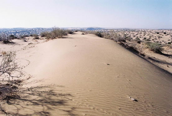 The Deserts of Pakistan | SpringerLink