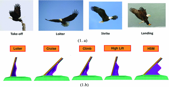 Morphing Wings and Control Surfaces: A New Approach in Aircraft Design ...
