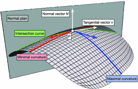 “Shape-Curvature-Graph”: Towards a New Model of Representation for the ...