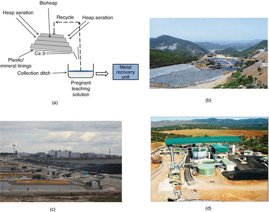Leaching and Recovery of Metals | SpringerLink