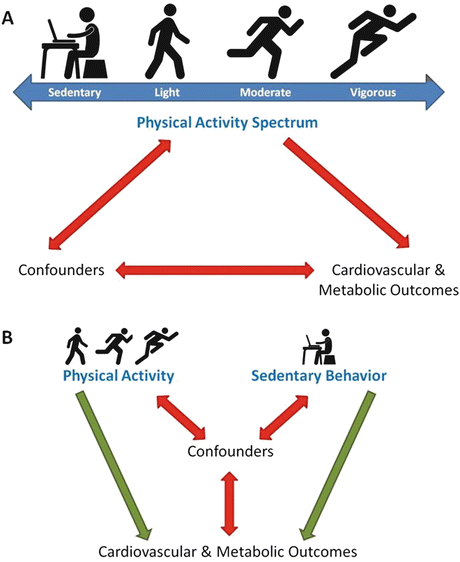 Sedentary Behaviour and Mortality | SpringerLink