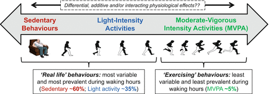 Physiological Responses to Sedentary Behaviour | SpringerLink