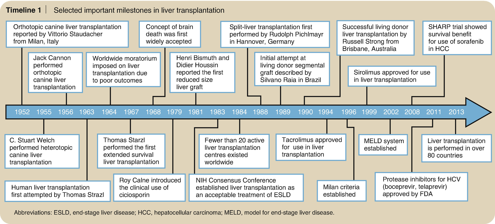 Historical Review of Solid Organ Transplantation | SpringerLink