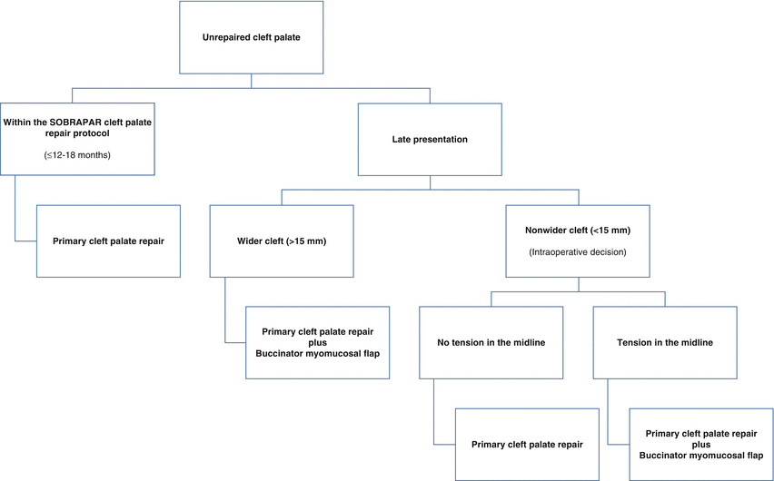 Buccinator Myomucosal Flap in Cleft Palate Repair: The SOBRAPAR ...