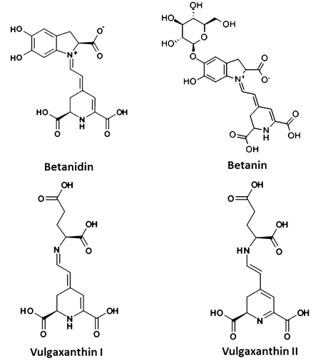 Color and Food Colorants | SpringerLink