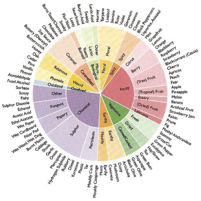 Flavor | SpringerLink