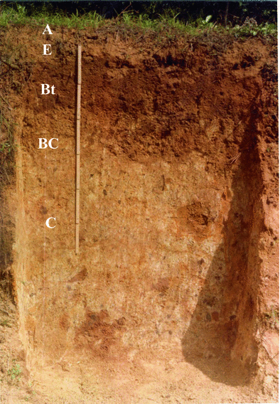 Alisols-Acrisols | SpringerLink