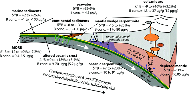Boron Isotopes as a Tracer of Subduction Zone Processes | SpringerLink