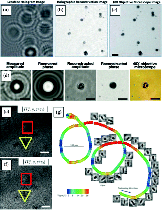 An Introduction to Lensless Digital Holographic Microscopy | SpringerLink