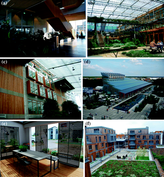 Design Principles of Regenerative Design | SpringerLink