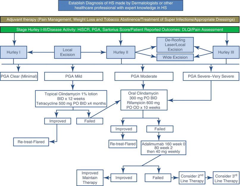 Biologic and Systemic Agents in Hidradenitis Suppurativa | SpringerLink
