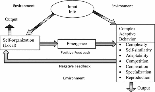Adaptation, Complexity, and Complex Adaptive Systems | SpringerLink