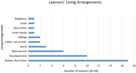Extrinsic Barriers to Learning | SpringerLink
