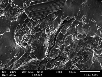 Smith Watson and Topper Model in the Determination of the Fatigue Life ...