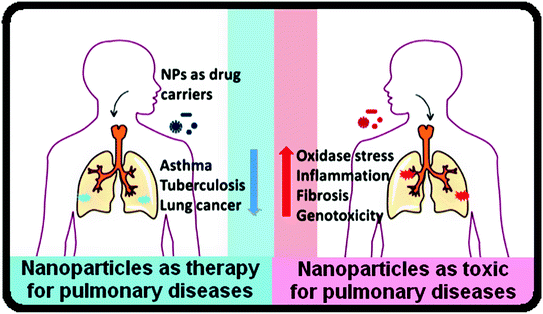 Toxicological Impacts of Nanoparticles | SpringerLink