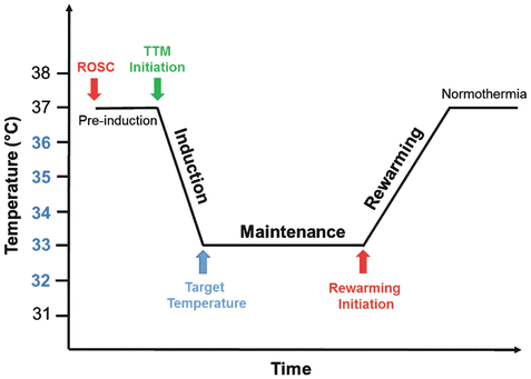 Targeted Temperature Management After Cardiac Arrest | SpringerLink