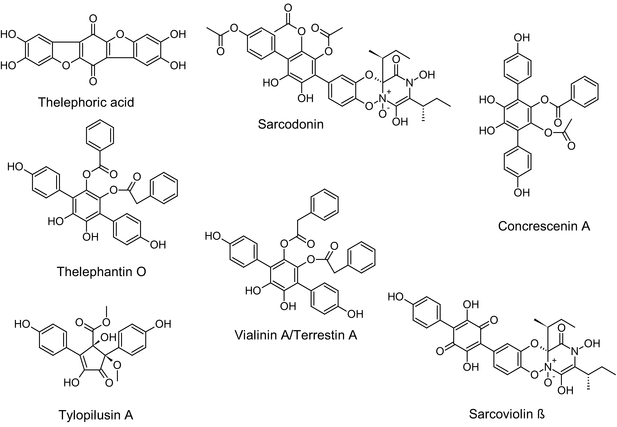 Secondary Metabolites of Basidiomycetes | SpringerLink