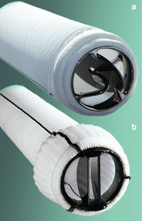 Bentall Procedure | SpringerLink