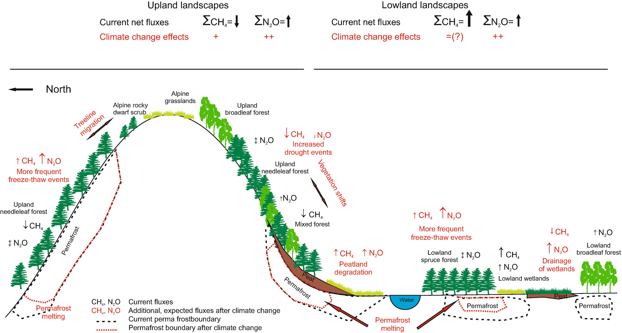 Effects of Climate Change on CH4 and N2O Fluxes from Temperate and ...