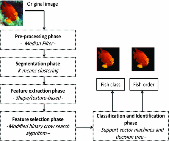An Automated Fish Species Identification System Based on Crow Search ...