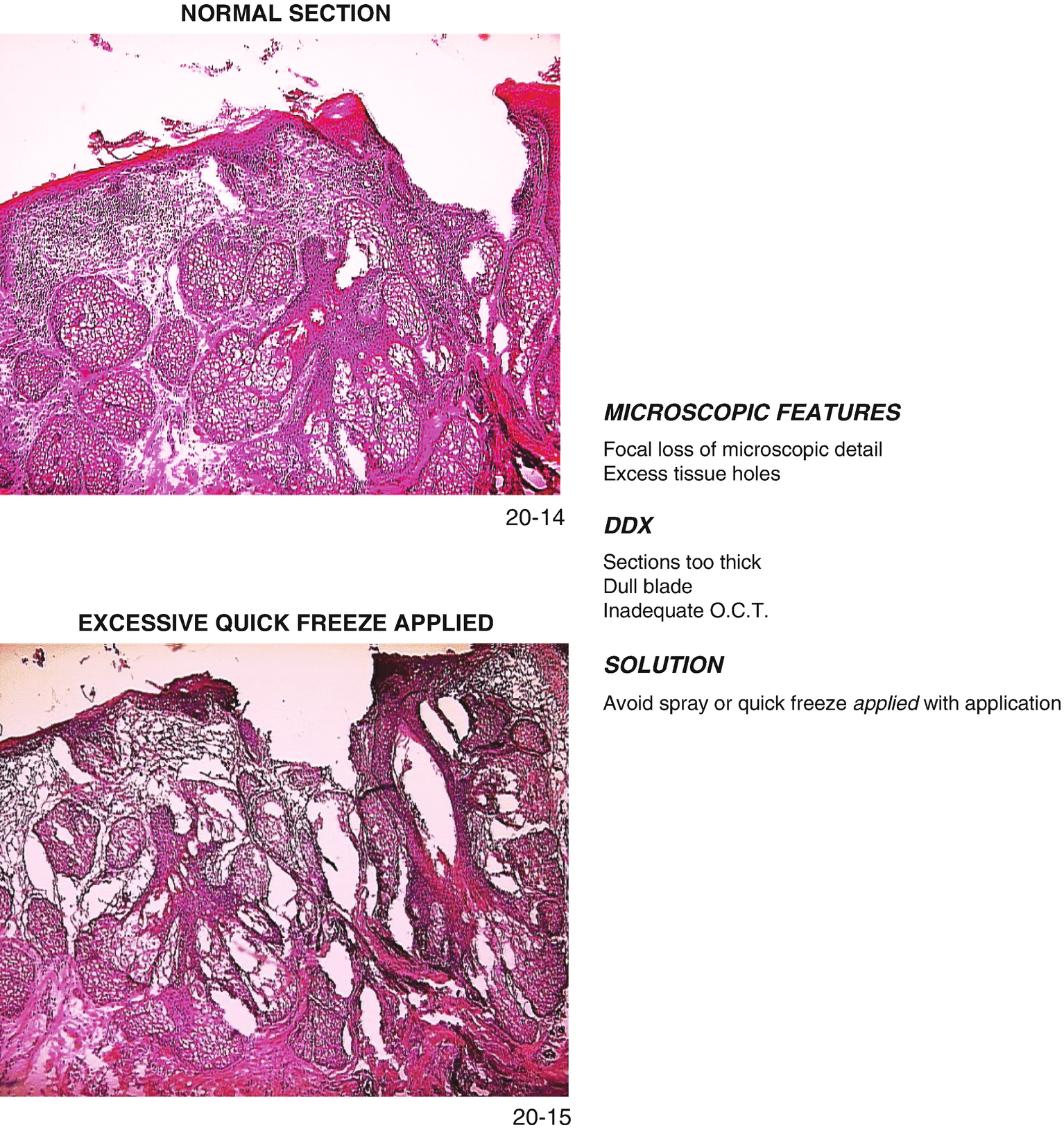 Histotechnique and Staining Troubleshooting | SpringerLink