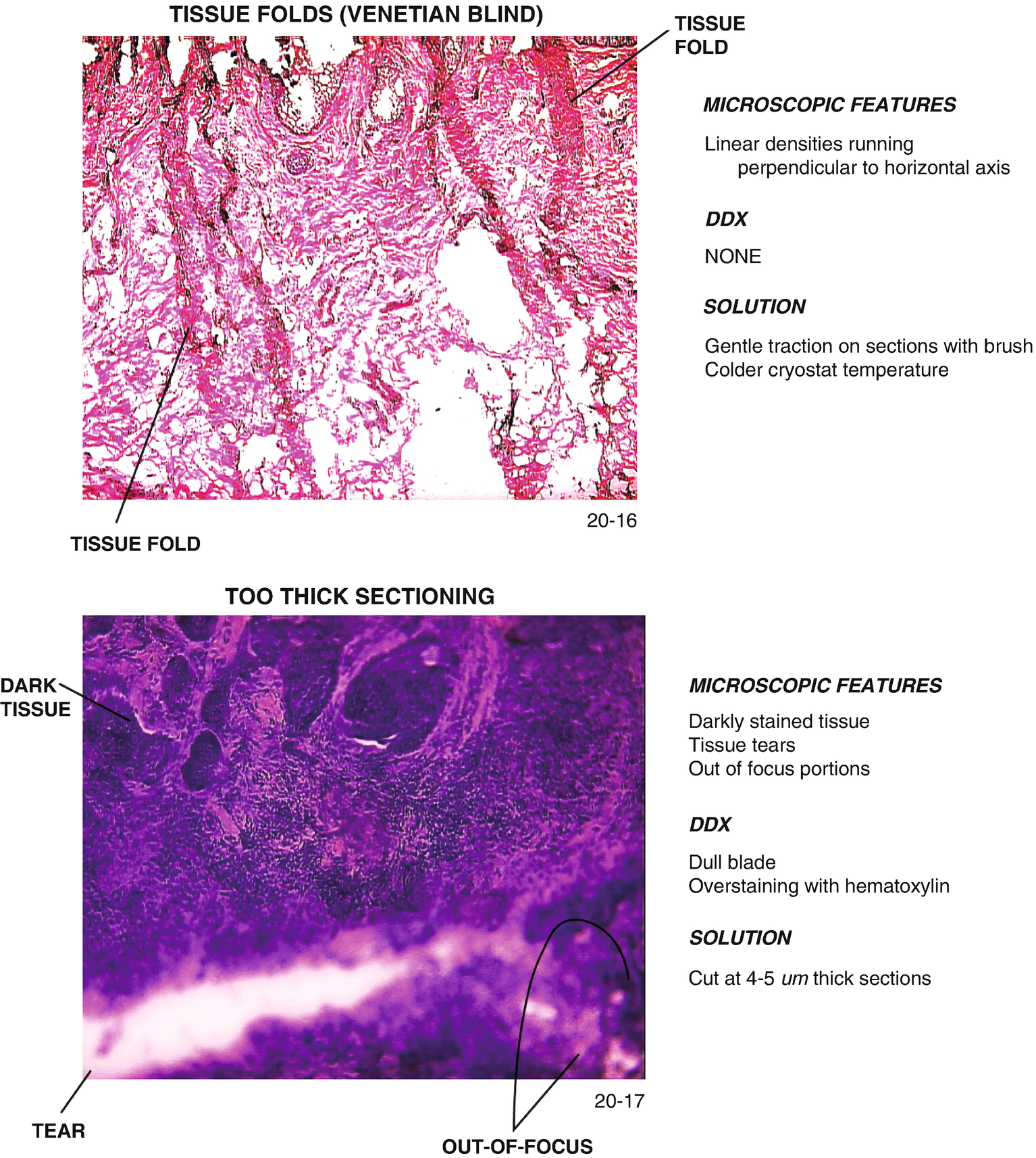 Histotechnique and Staining Troubleshooting | SpringerLink