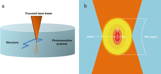 Two-Photon Polymerization in Tissue Engineering | SpringerLink