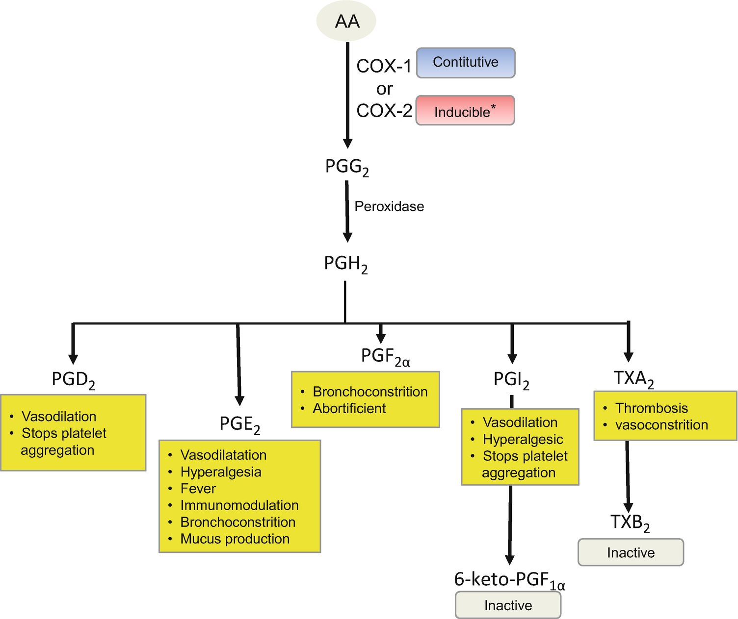 Mediators of Inflammation | SpringerLink