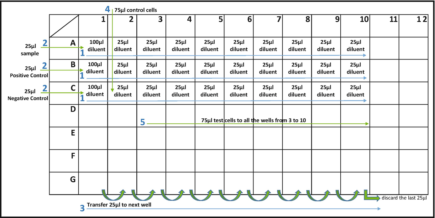 Treponema pallidum Hemagglutination (TPHA) Test | SpringerLink