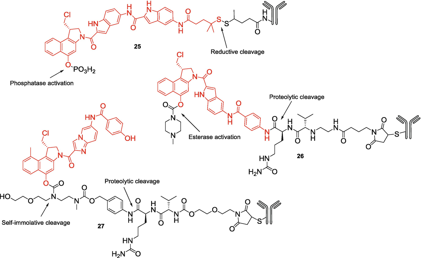 Next Generation Payloads for ADCs | SpringerLink