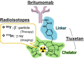 Characteristics of Ibritumomab as Radionuclide Therapy Agent | SpringerLink