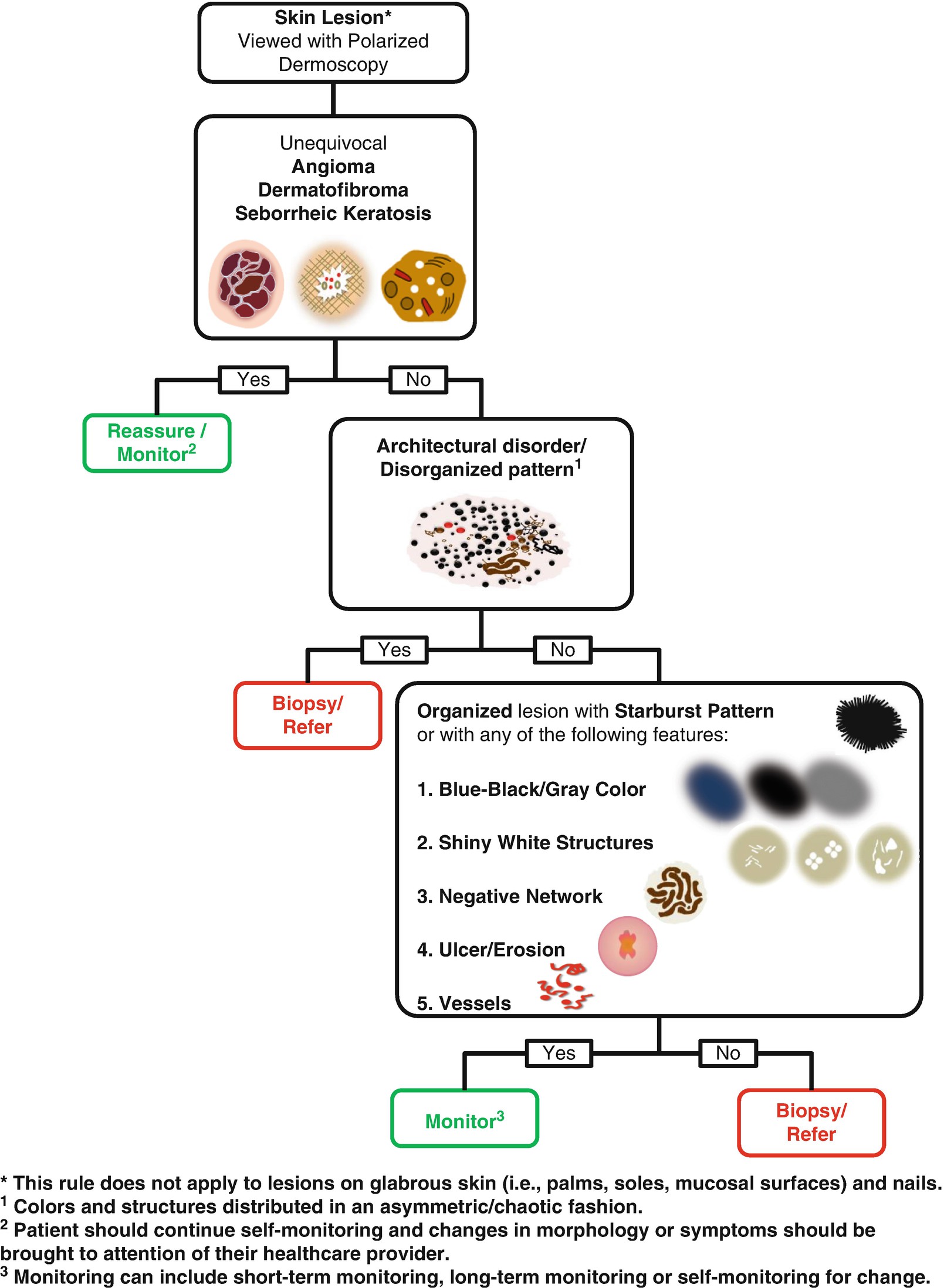 Dermoscopy of Melanocytic Lesions | SpringerLink