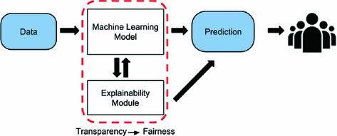 Transparency in Fair Machine Learning: the Case of Explainable ...